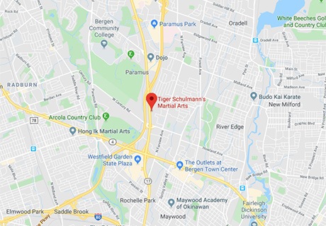 Kids Martial Arts Classes - Paramus, NJ | Kickboxing Classes for Adults